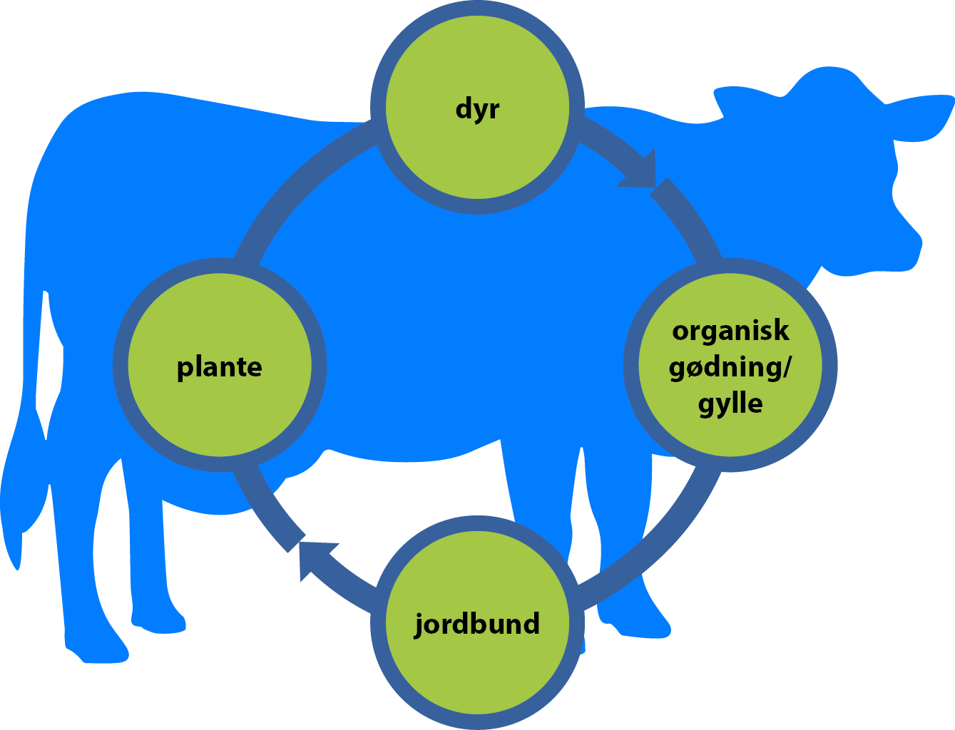 Aktiv kul – Lindholm Farm